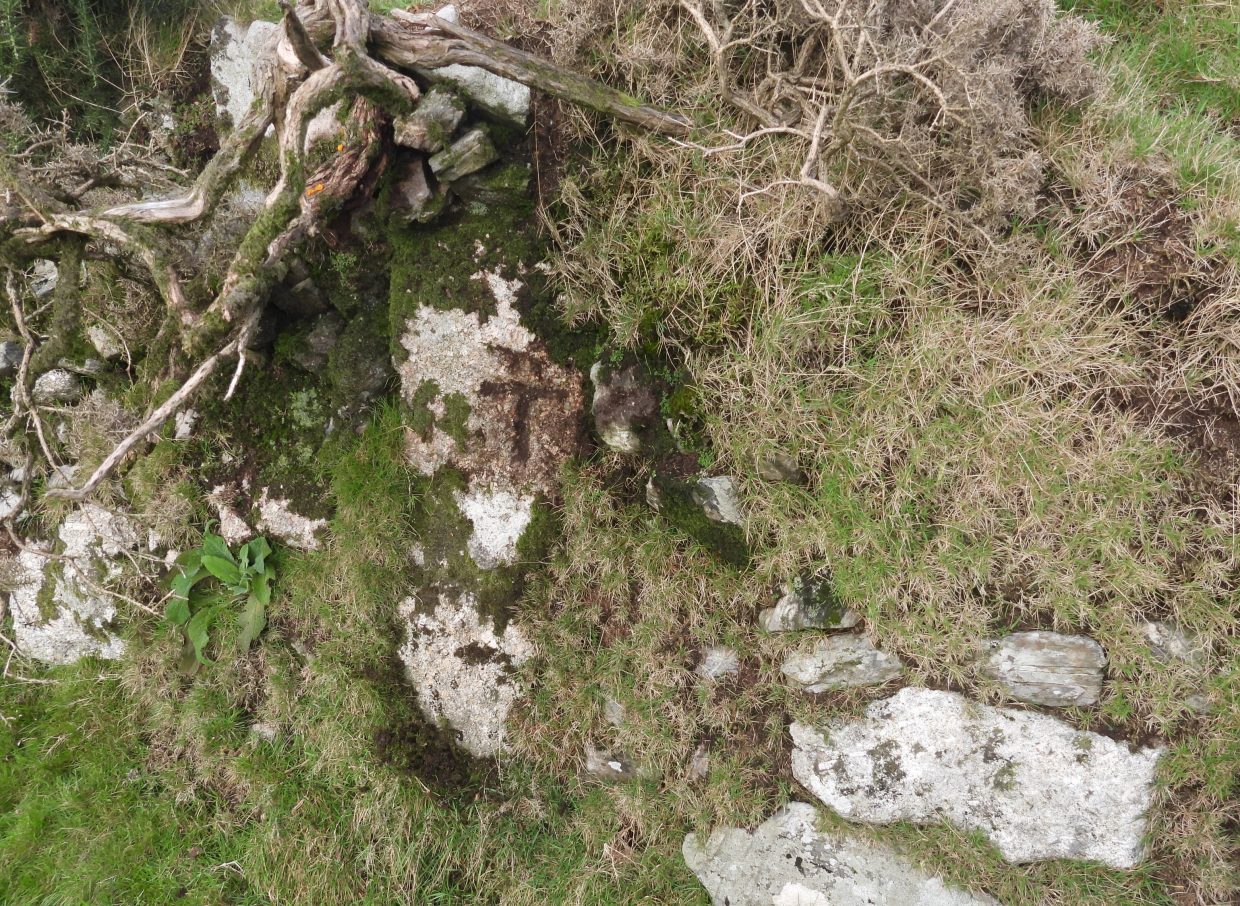 Aish Ridge “Newtake Wall” and Inscribed Boulders and Stones – Dartmoor ...