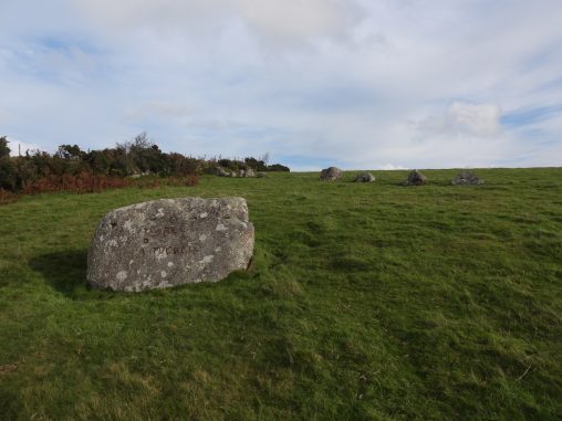 Aish Ridge “Newtake Wall” and Inscribed Boulders and Stones – Dartmoor ...