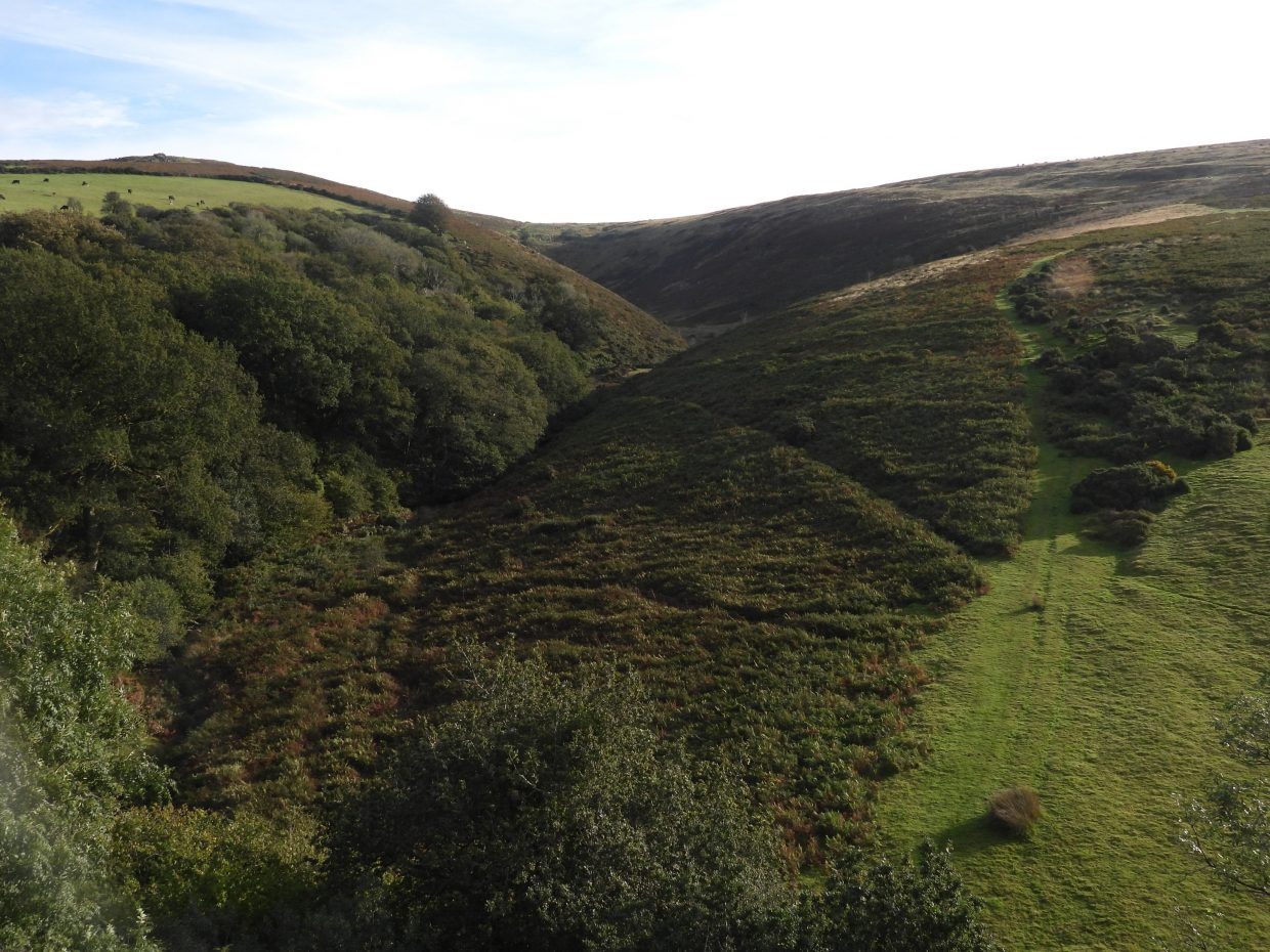 Tor Wood Mine – Dartmoor Explorations