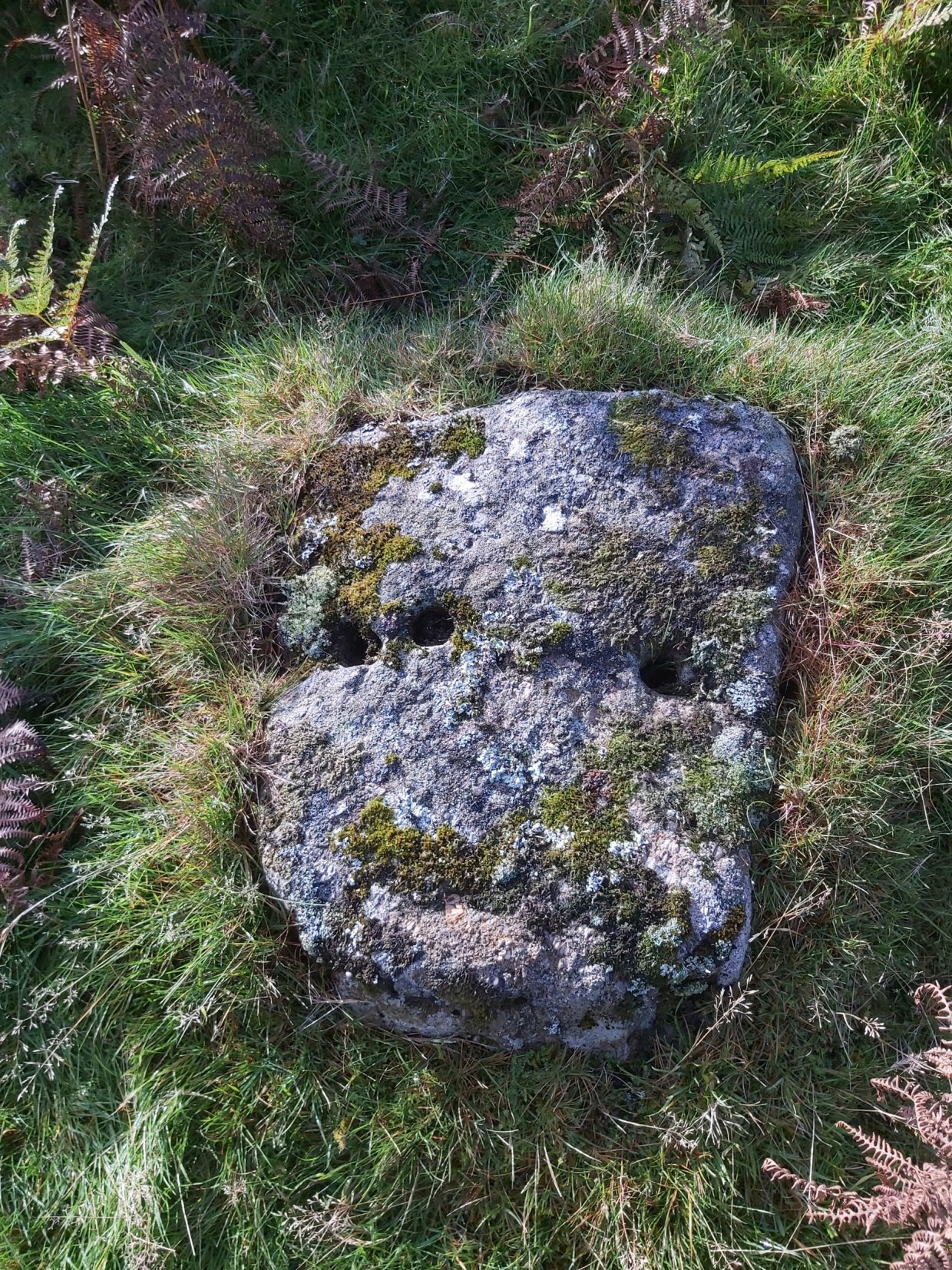 Tor Wood Mine – Dartmoor Explorations