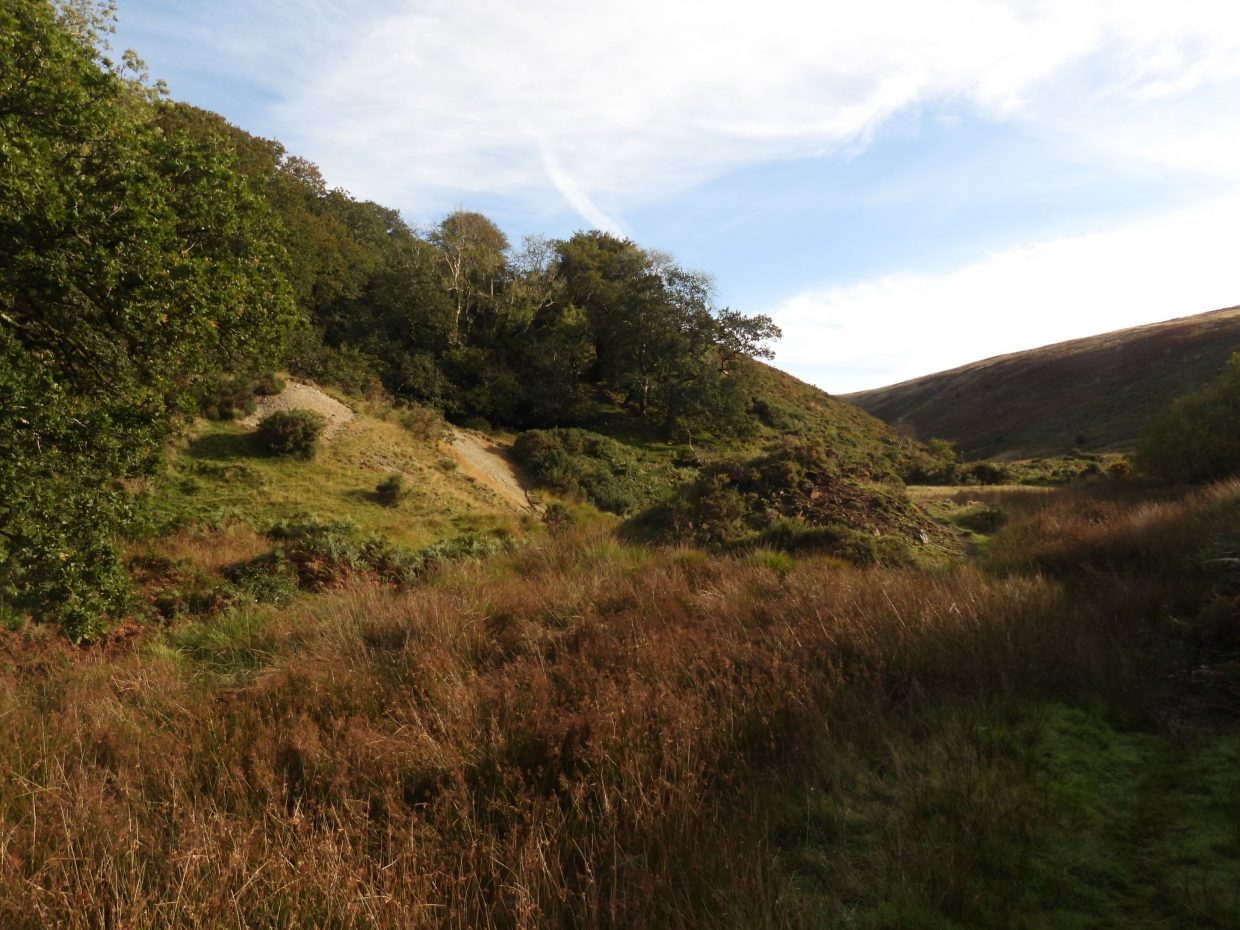 Tor Wood Mine – Dartmoor Explorations