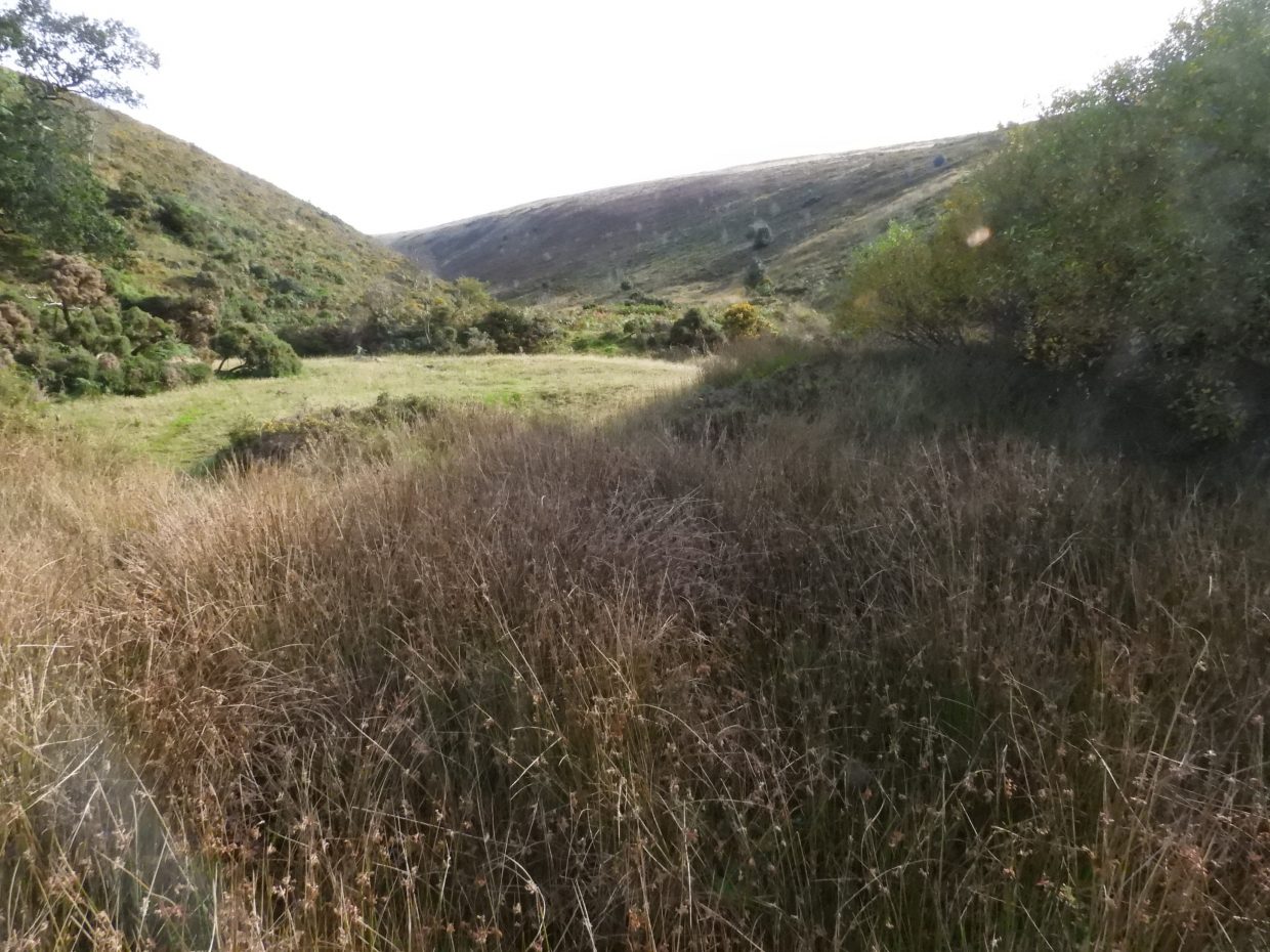 Tor Wood Mine – Dartmoor Explorations