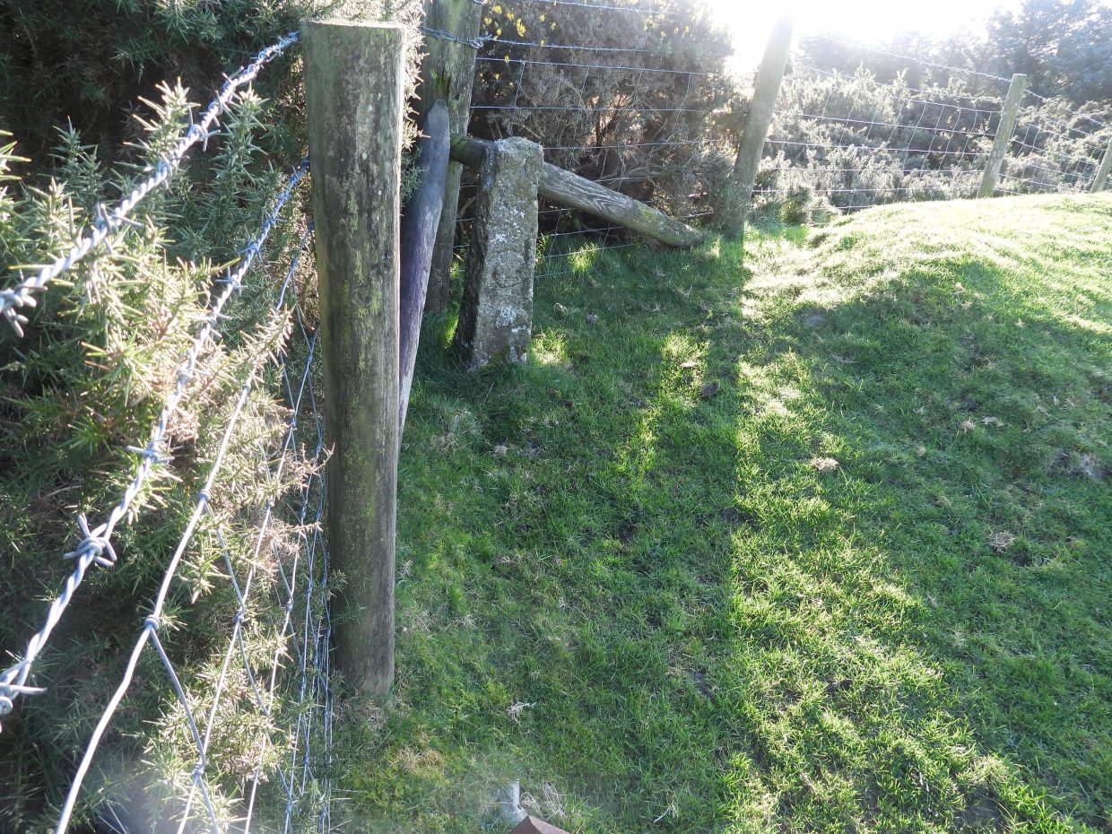 Cholwell Boundary Stones – Dartmoor Explorations