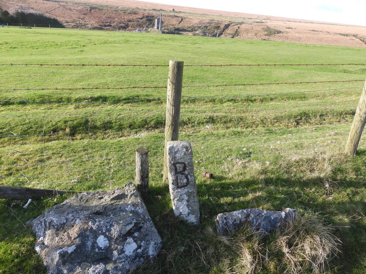 Cholwell Boundary Stones – Dartmoor Explorations