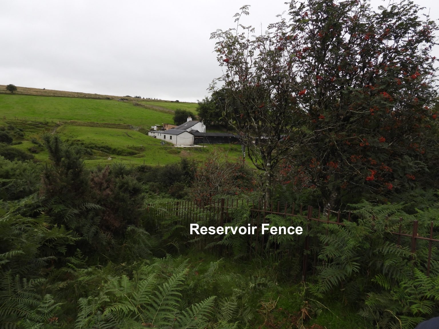 Cholwell Boundary Stones – Dartmoor Explorations