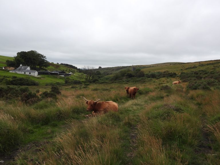 Cholwell Boundary Stones – Dartmoor Explorations