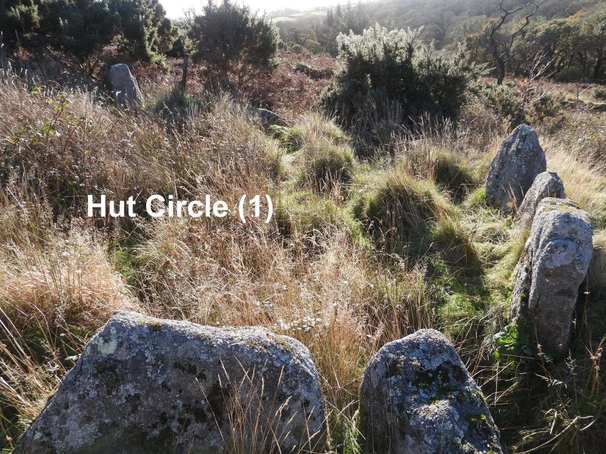 Hawns and Dendles Waste – An exploration – Dartmoor Explorations