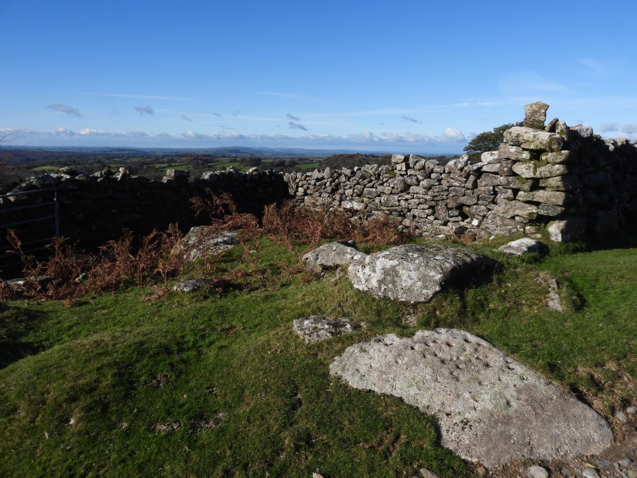 Babyland Farmstead – Dartmoor Explorations