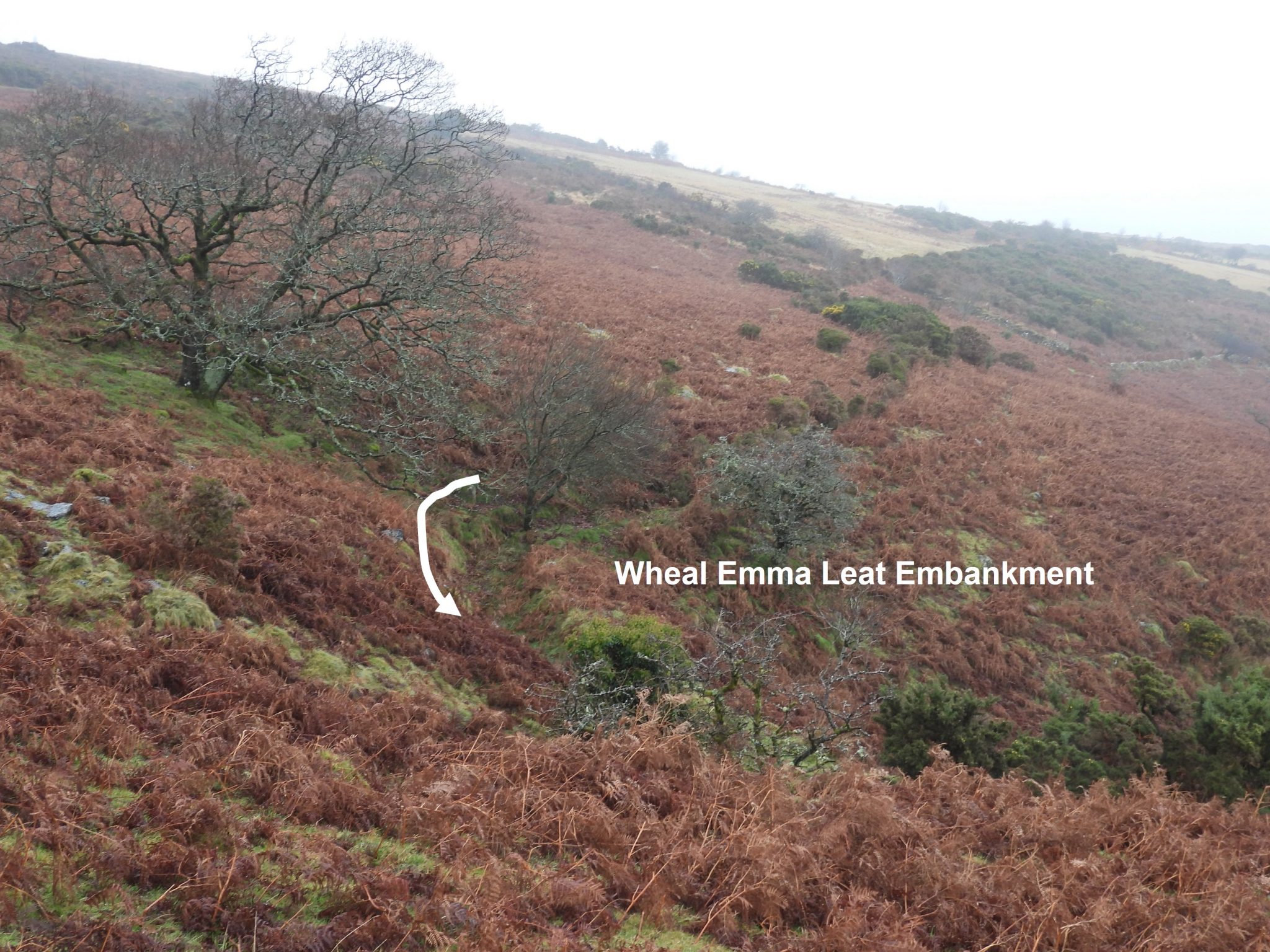 Holne Moor Clappers – Dartmoor Explorations