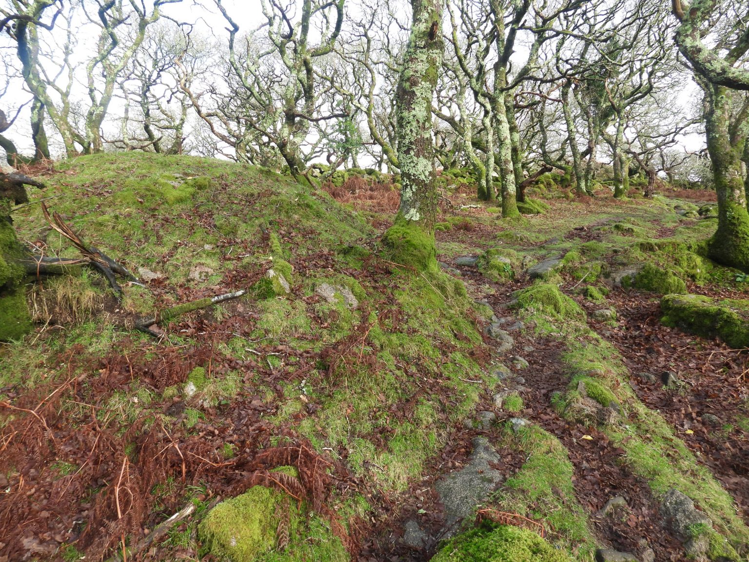 Dewerstone Quarries – Dartmoor Explorations