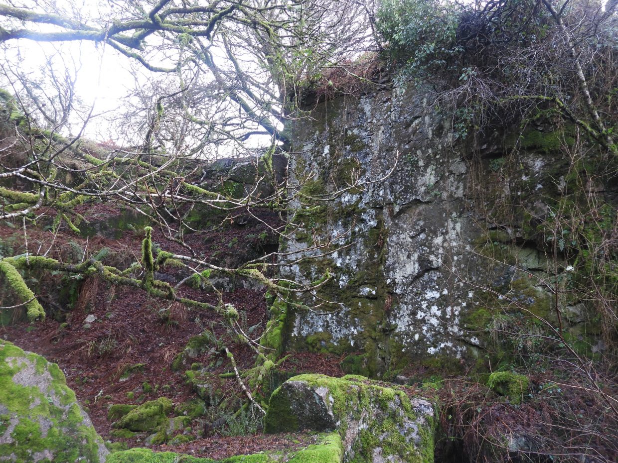 Dewerstone Quarries – Dartmoor Explorations