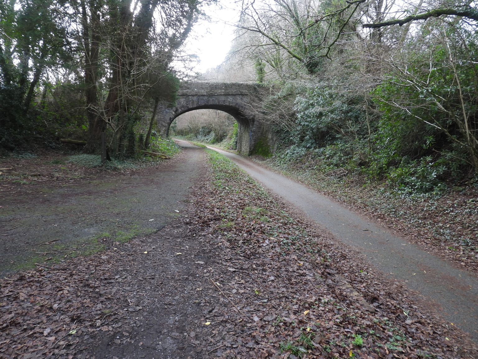 Shaugh Bridge Platform – Dartmoor Explorations