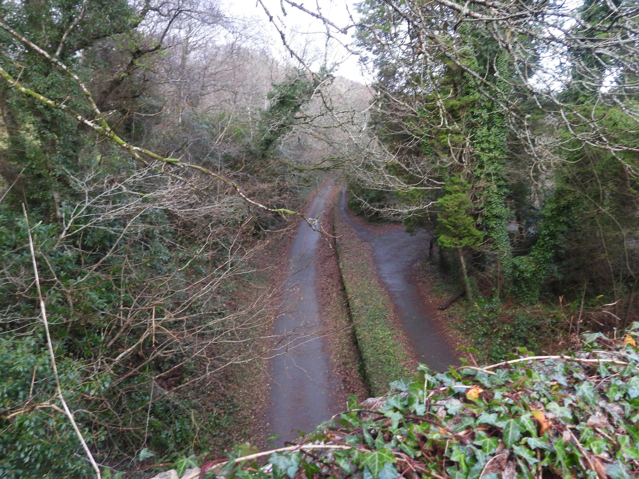 Shaugh Bridge Platform – Dartmoor Explorations