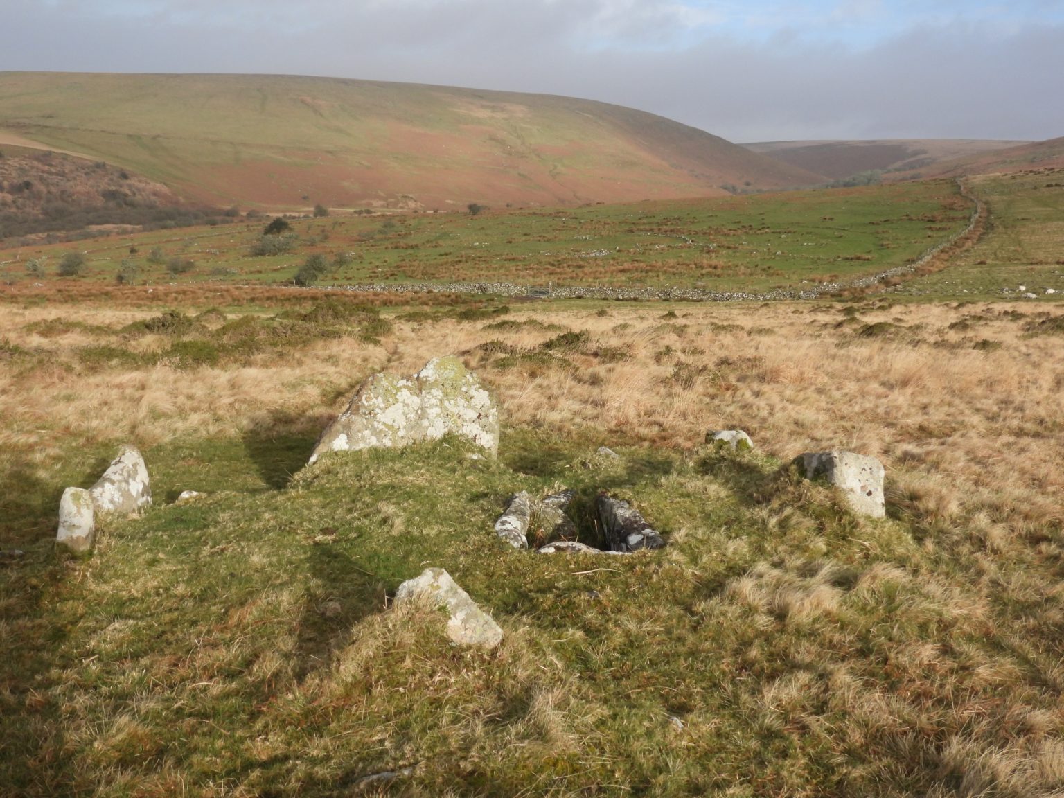Lower Piles Medieval Farmstead and Settlement – Dartmoor Explorations