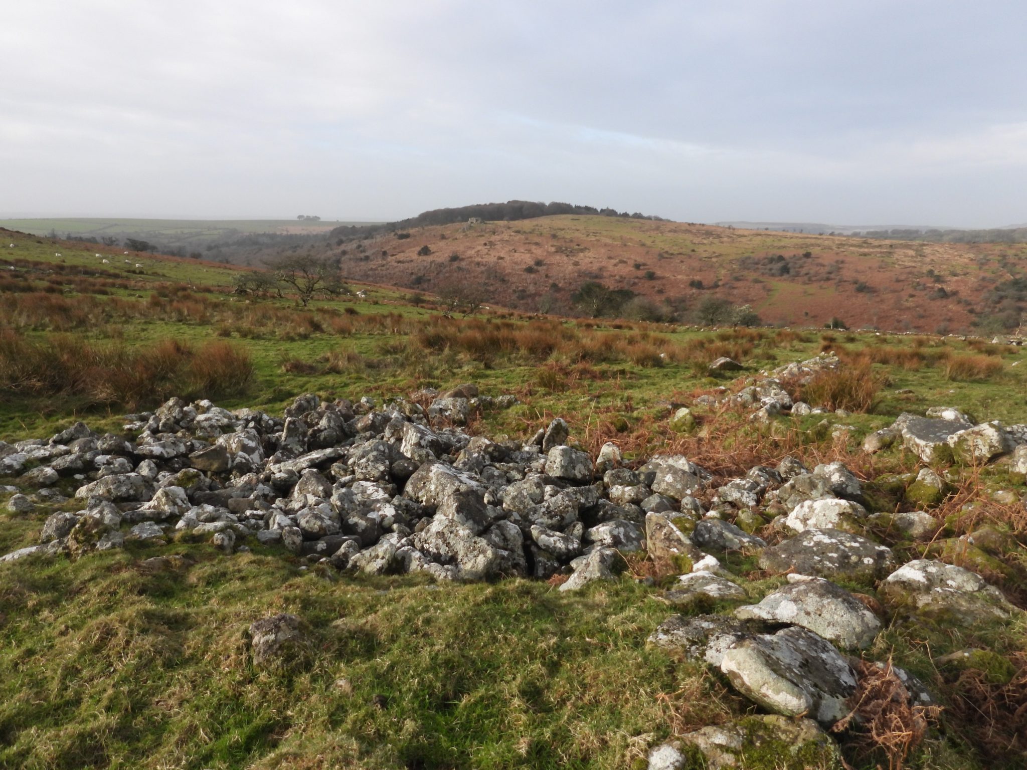 Lower Piles Medieval Farmstead and Settlement – Dartmoor Explorations