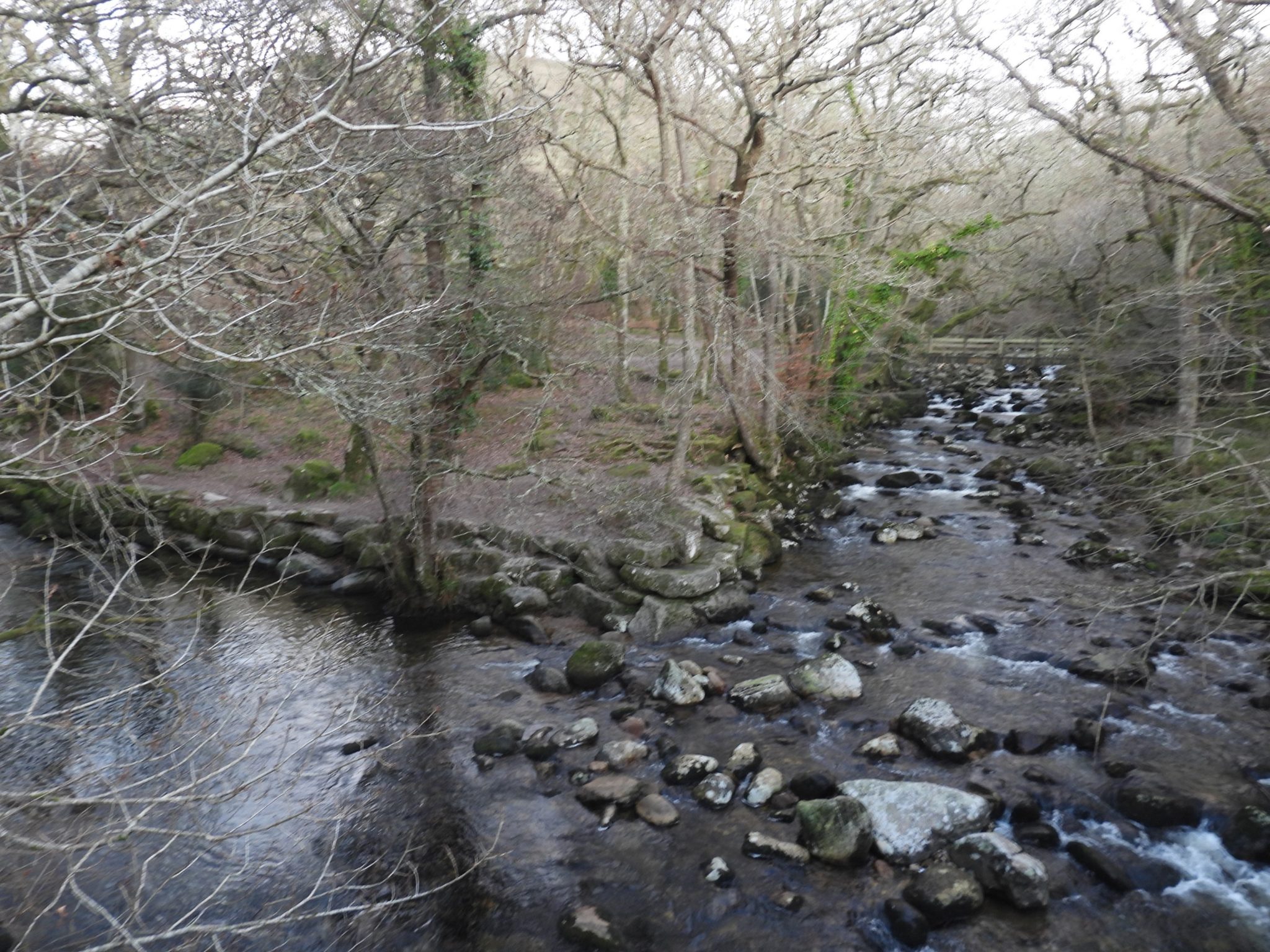 Shaugh Bridge Mica Pits – Dartmoor Explorations