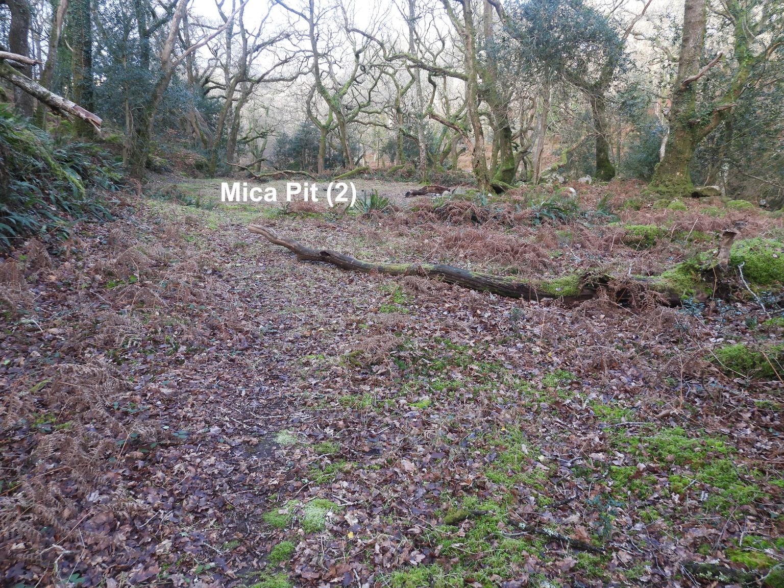 Shaugh Bridge Mica Pits – Dartmoor Explorations