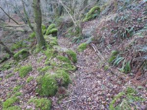 Shaugh Bridge Mica Pits – Dartmoor Explorations