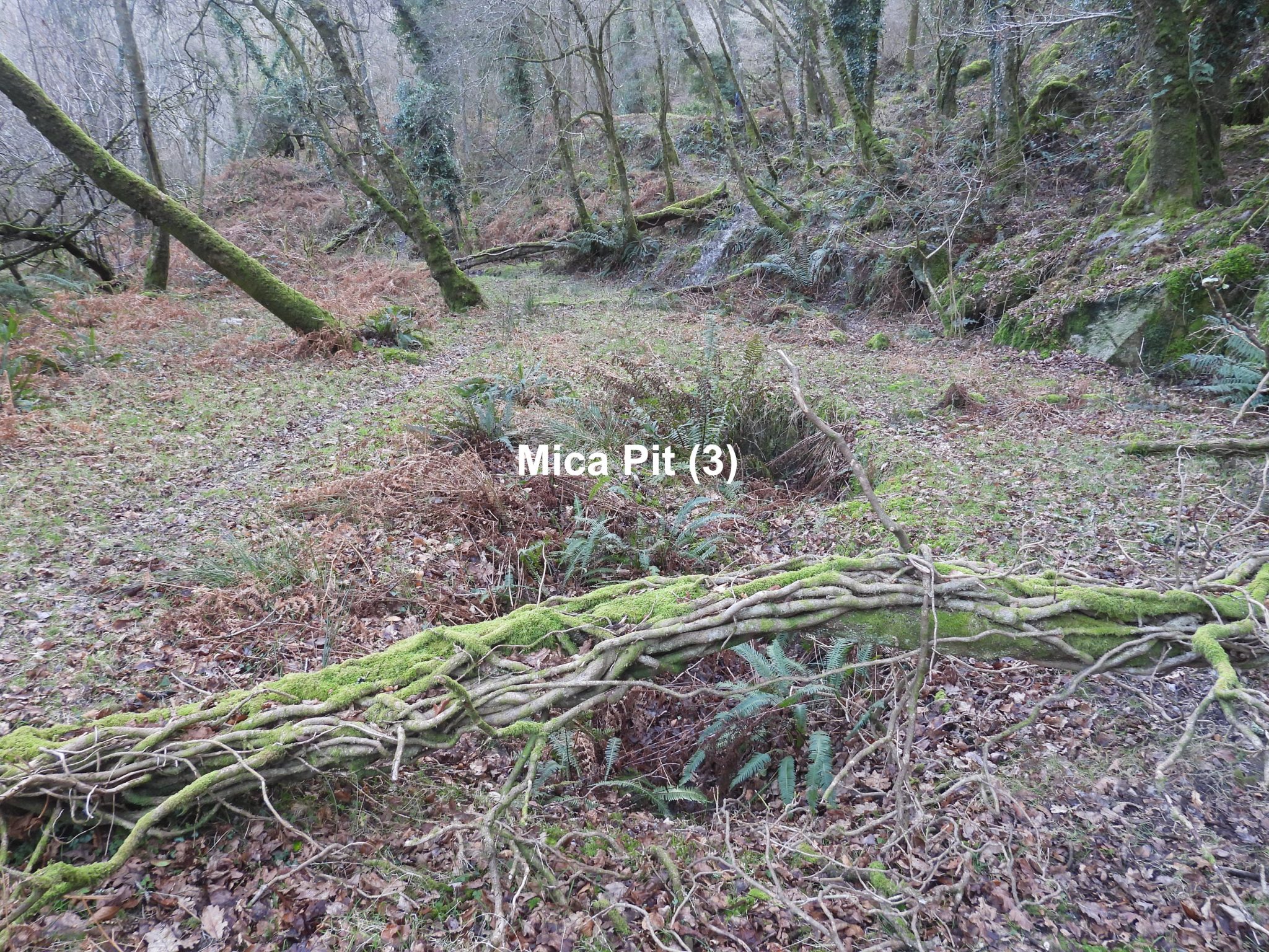 Shaugh Bridge Mica Pits – Dartmoor Explorations