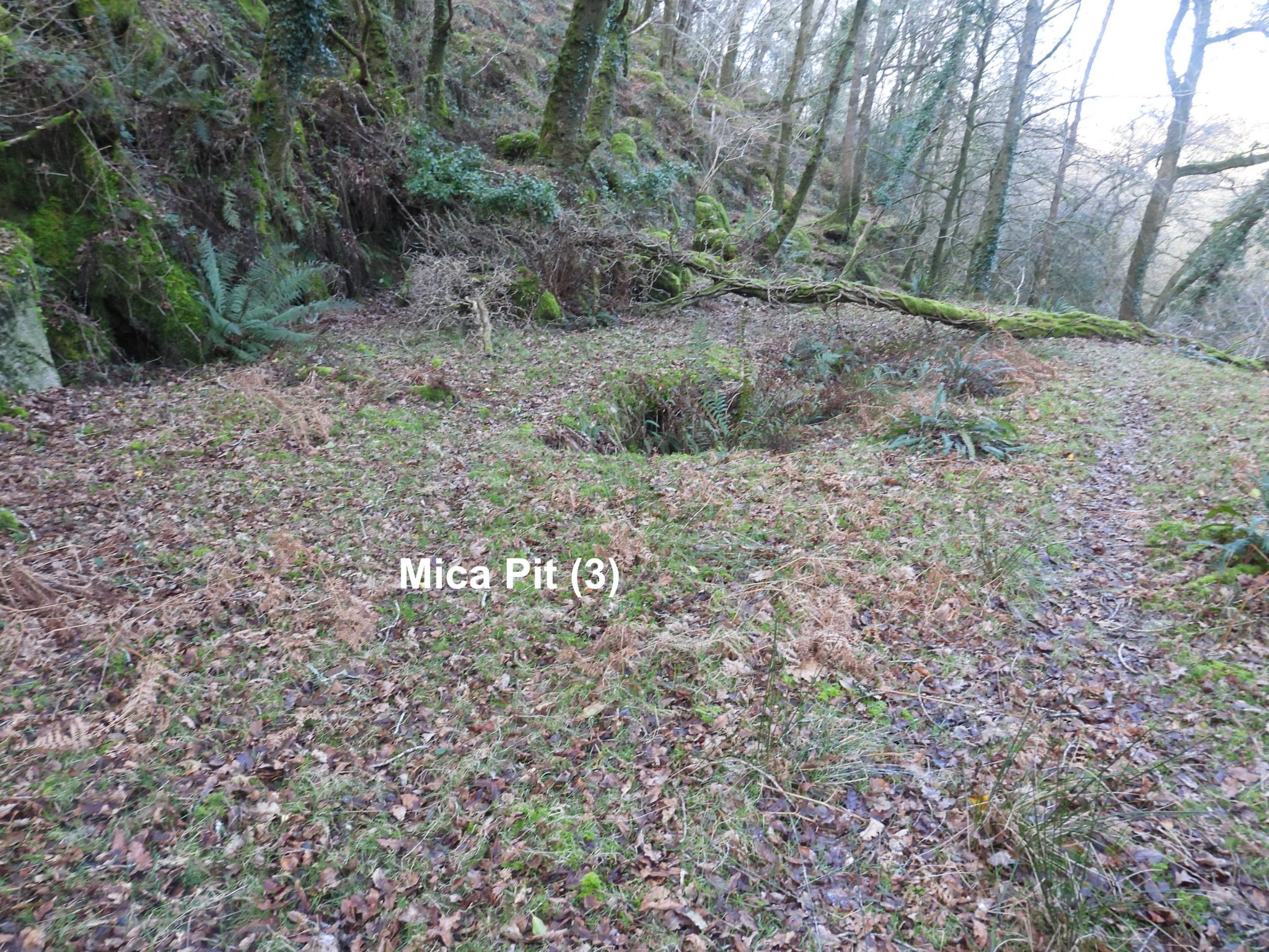 Shaugh Bridge Mica Pits – Dartmoor Explorations