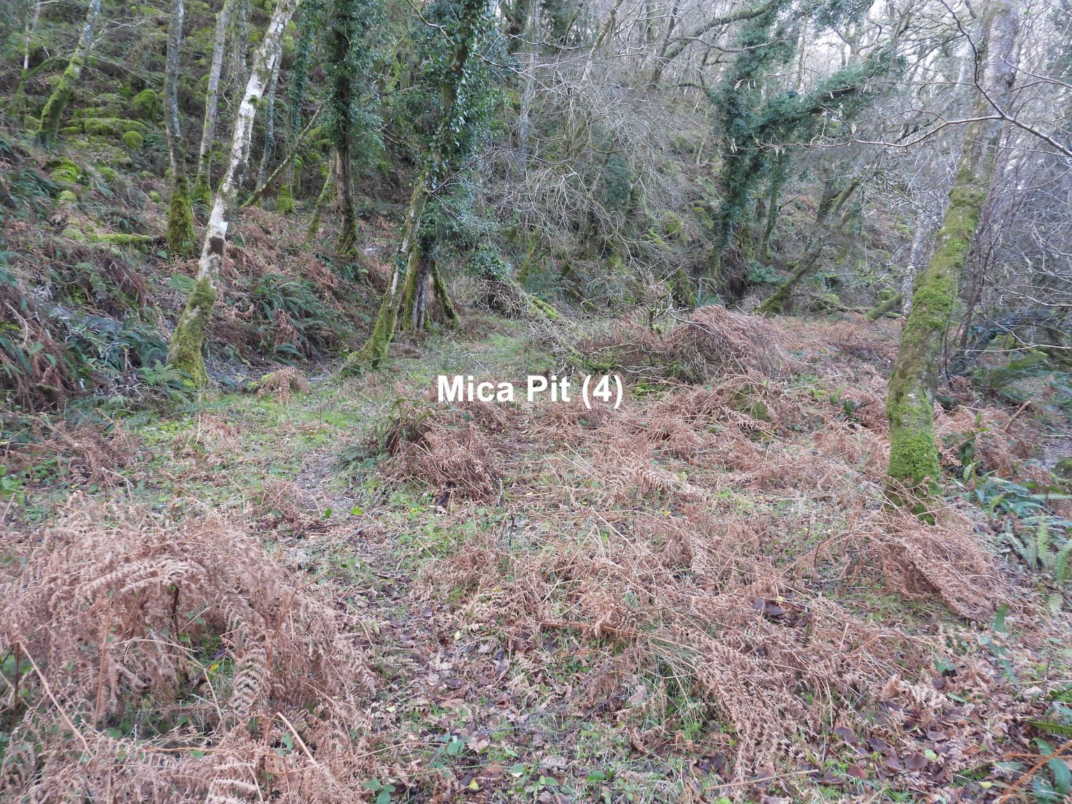 Shaugh Bridge Mica Pits – Dartmoor Explorations