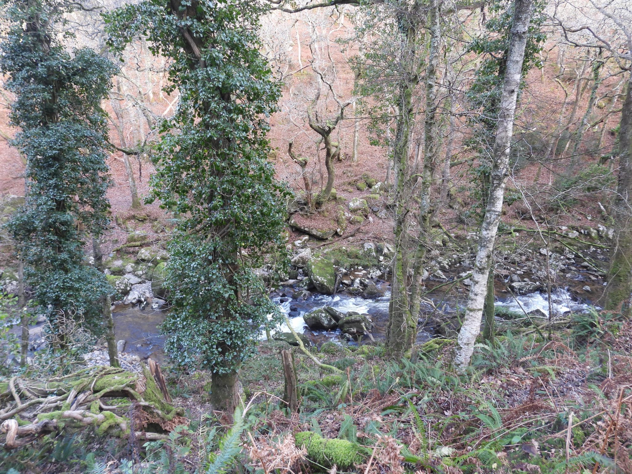 Shaugh Bridge Mica Pits – Dartmoor Explorations