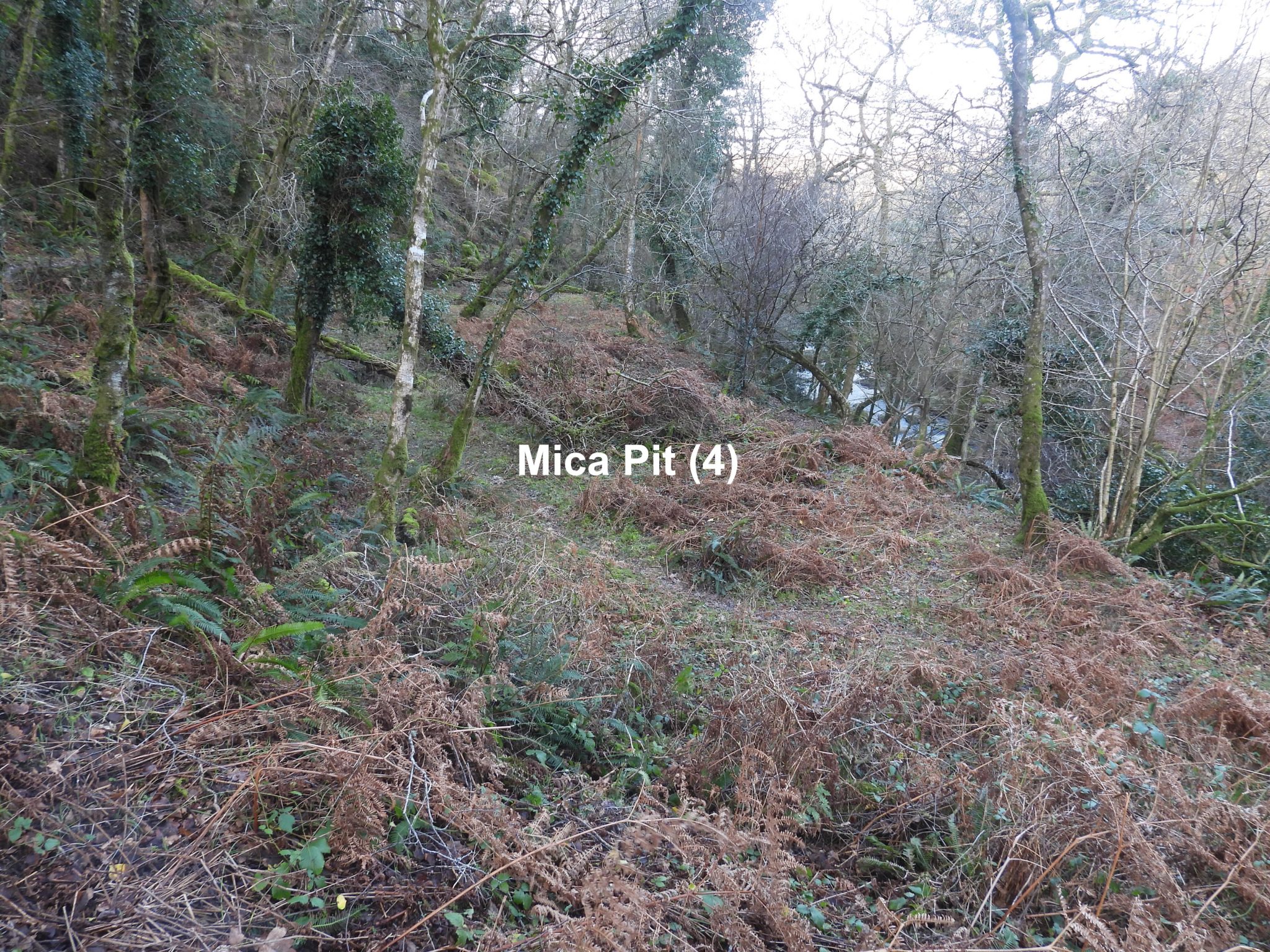 Shaugh Bridge Mica Pits – Dartmoor Explorations