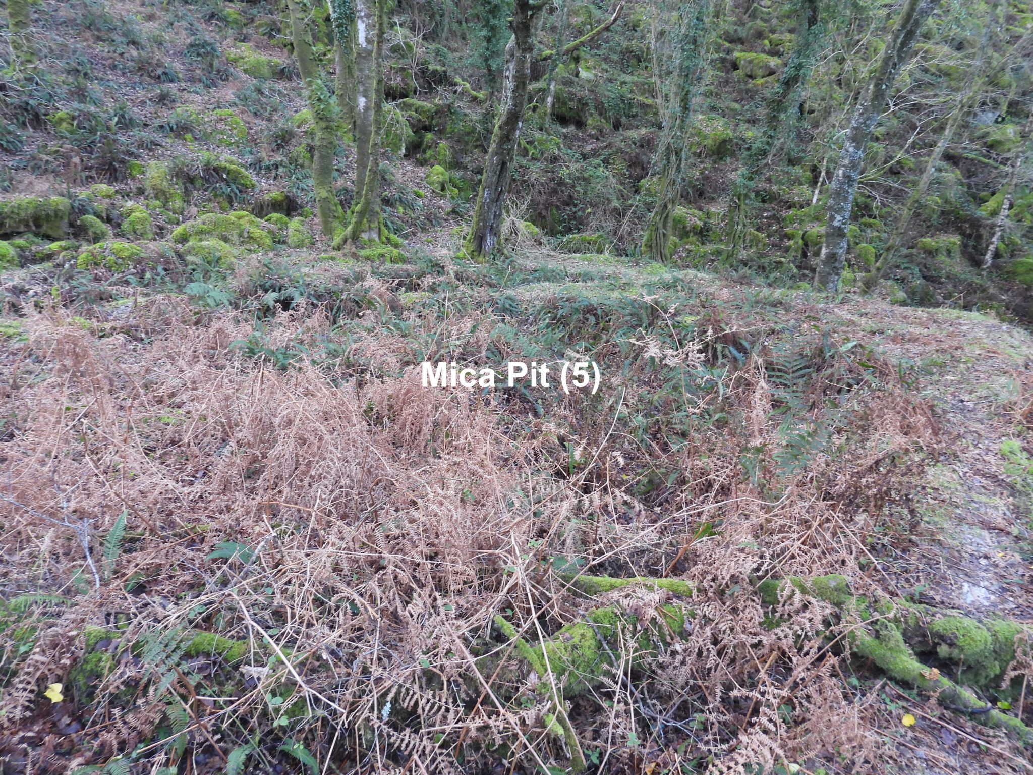 Shaugh Bridge Mica Pits – Dartmoor Explorations