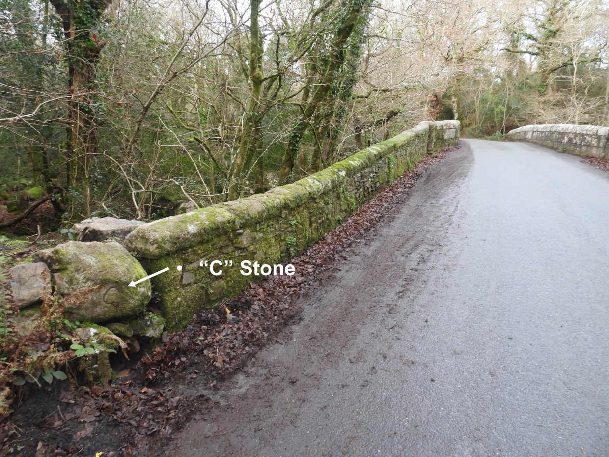 Shaugh Bridge Mica Pits – Dartmoor Explorations