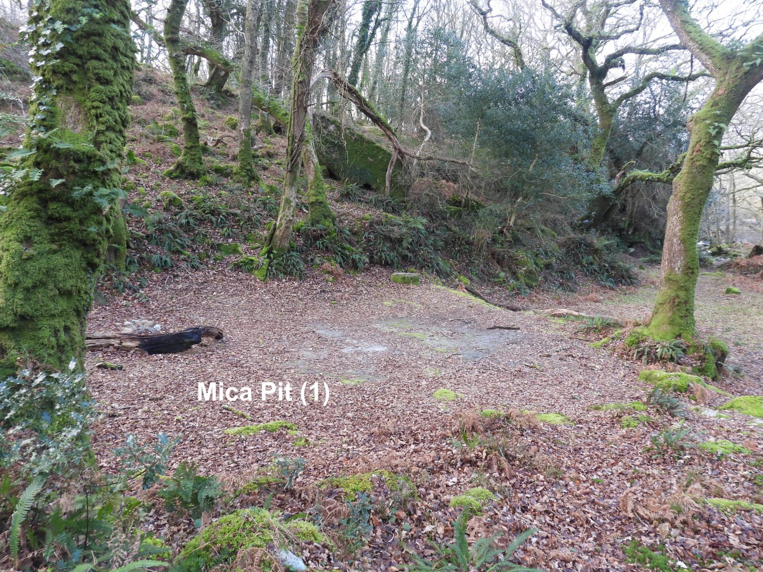 Shaugh Bridge Mica Pits – Dartmoor Explorations