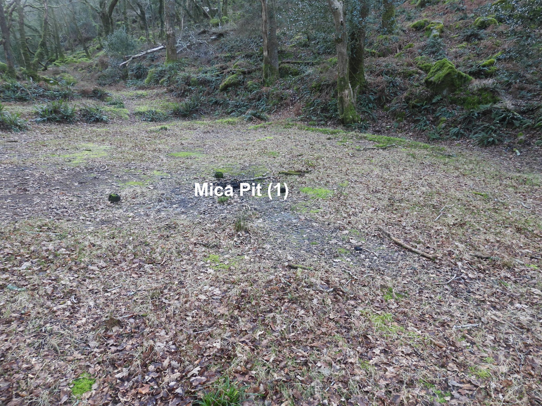 Shaugh Bridge Mica Pits – Dartmoor Explorations
