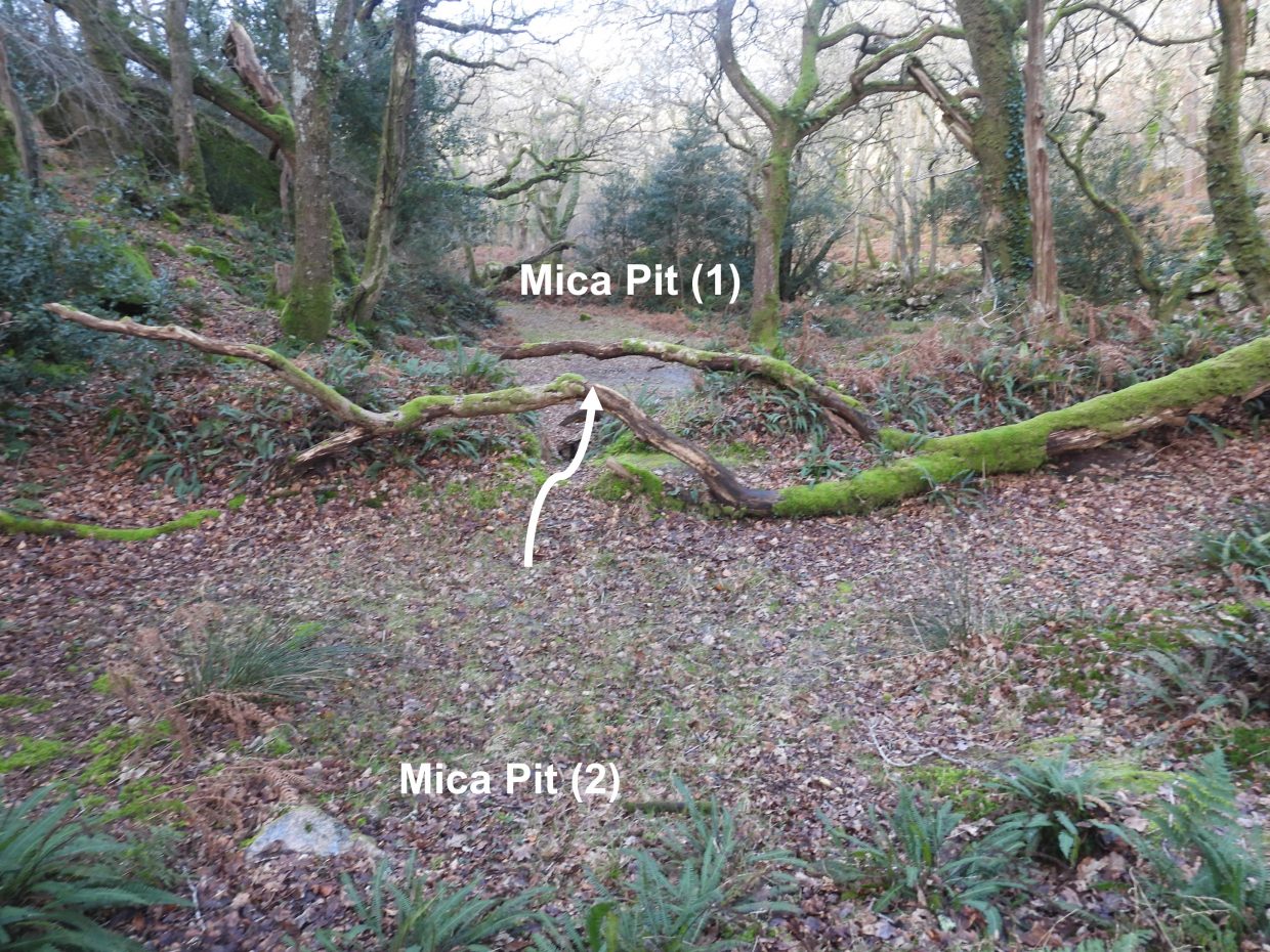 Shaugh Bridge Mica Pits – Dartmoor Explorations