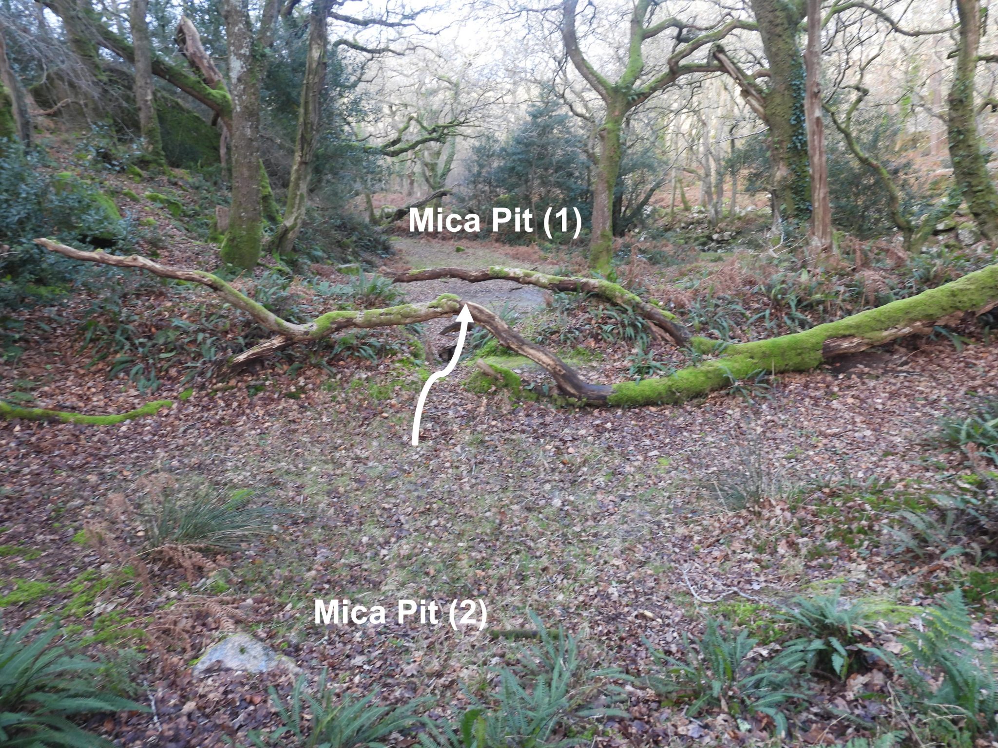 Shaugh Bridge Mica Pits – Dartmoor Explorations