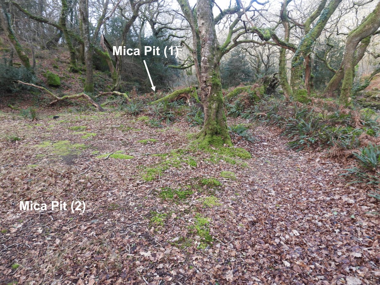 Shaugh Bridge Mica Pits – Dartmoor Explorations