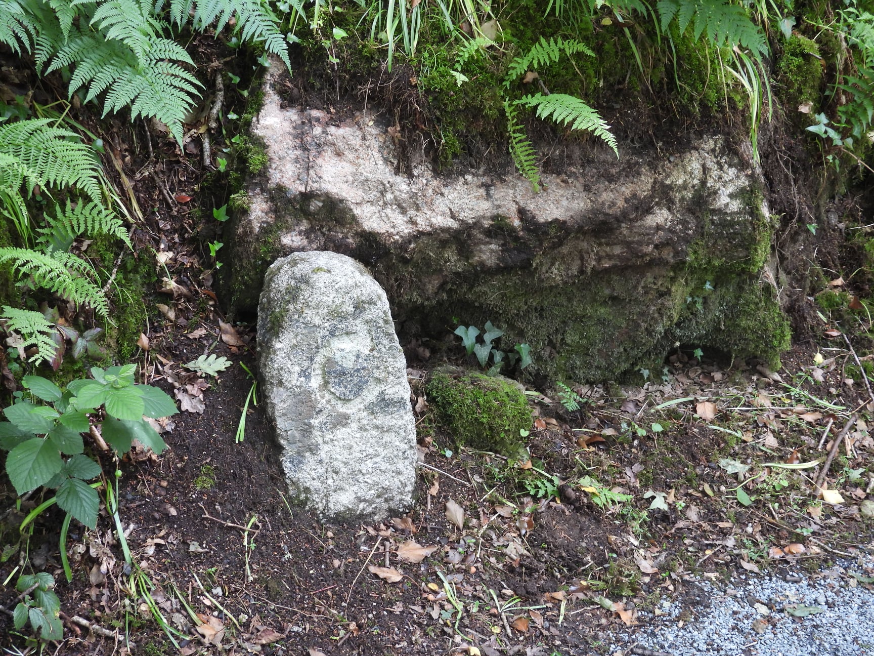 Ward Bridge – Dartmoor Explorations