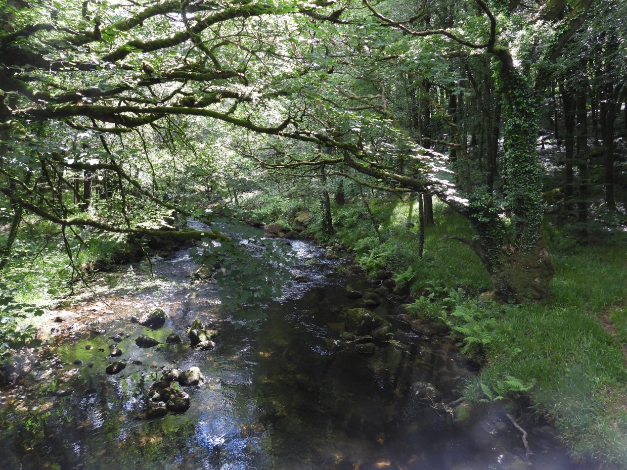 Ward Bridge – Dartmoor Explorations