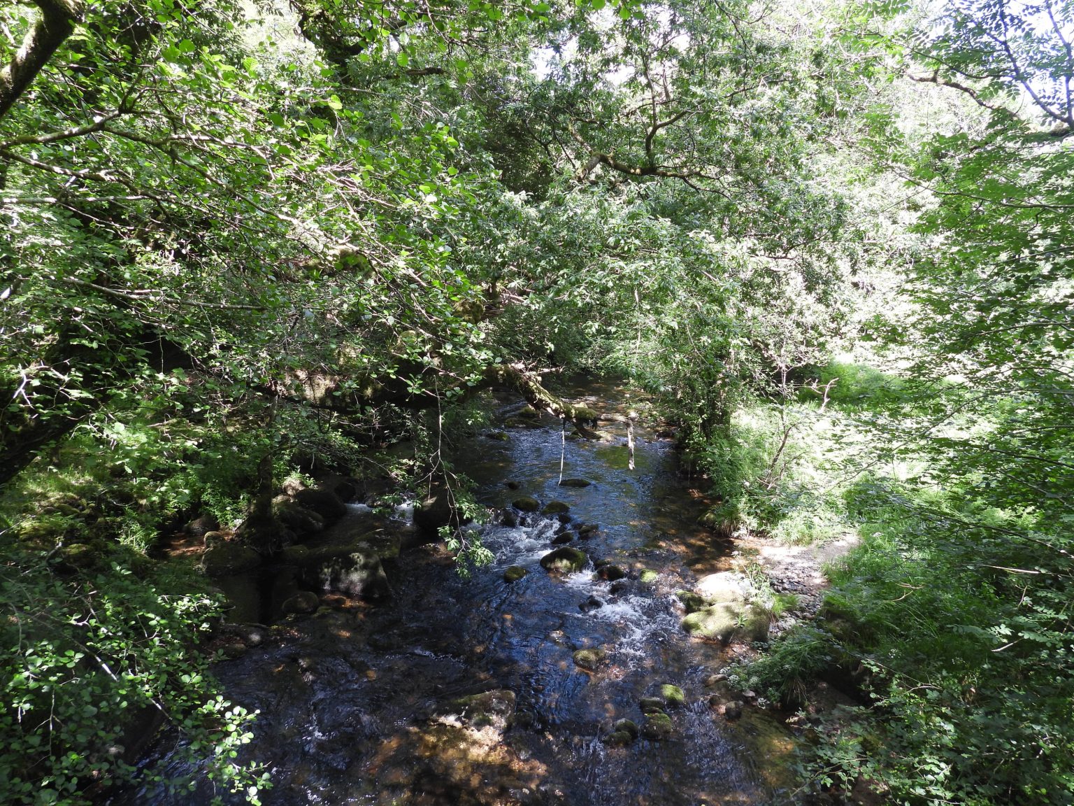 Ward Bridge – Dartmoor Explorations