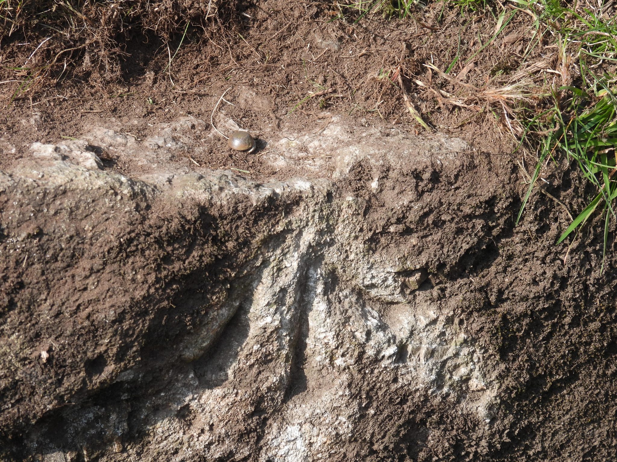 North Bovey / Manaton Parish Boundary Markers – Dartmoor Explorations