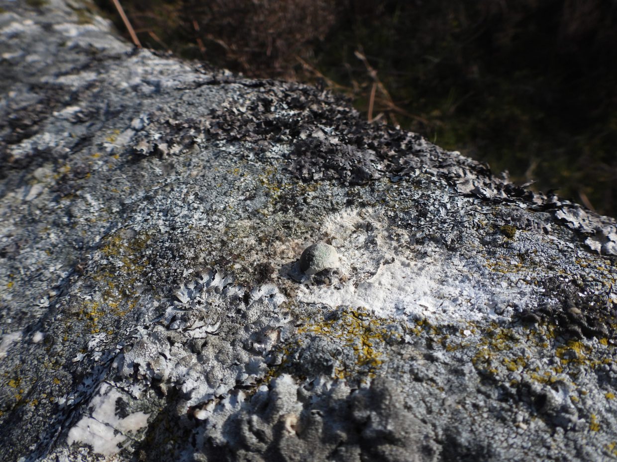 North Bovey / Manaton Parish Boundary Markers – Dartmoor Explorations