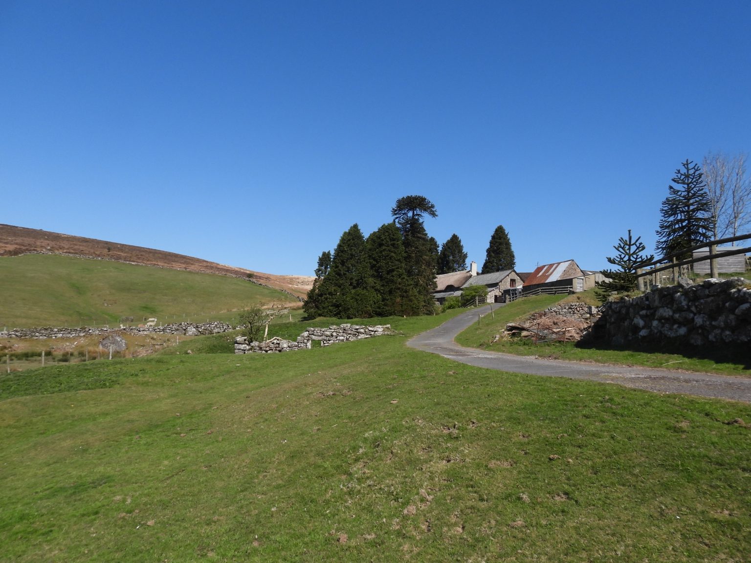North Bovey / Manaton Parish Boundary Markers – Dartmoor Explorations