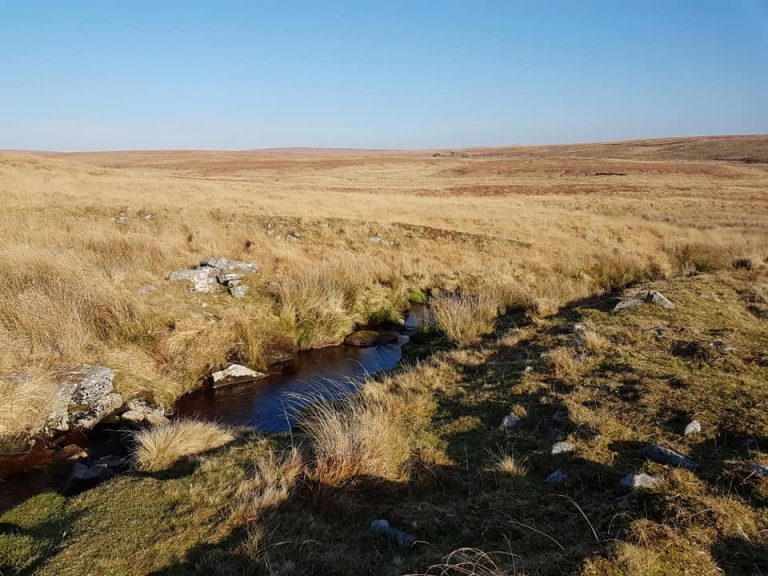 Cut Hill – Dartmoor Explorations