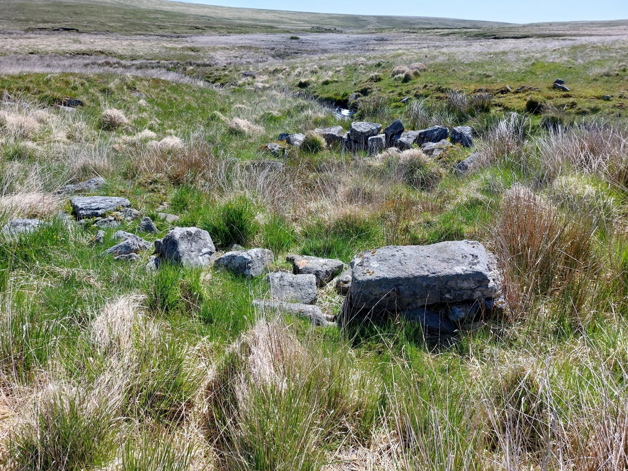 Cut Hill – Dartmoor Explorations