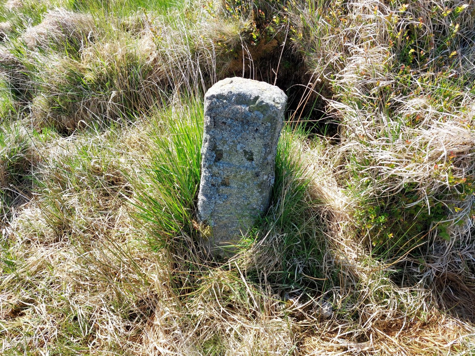 Cut Hill – Dartmoor Explorations