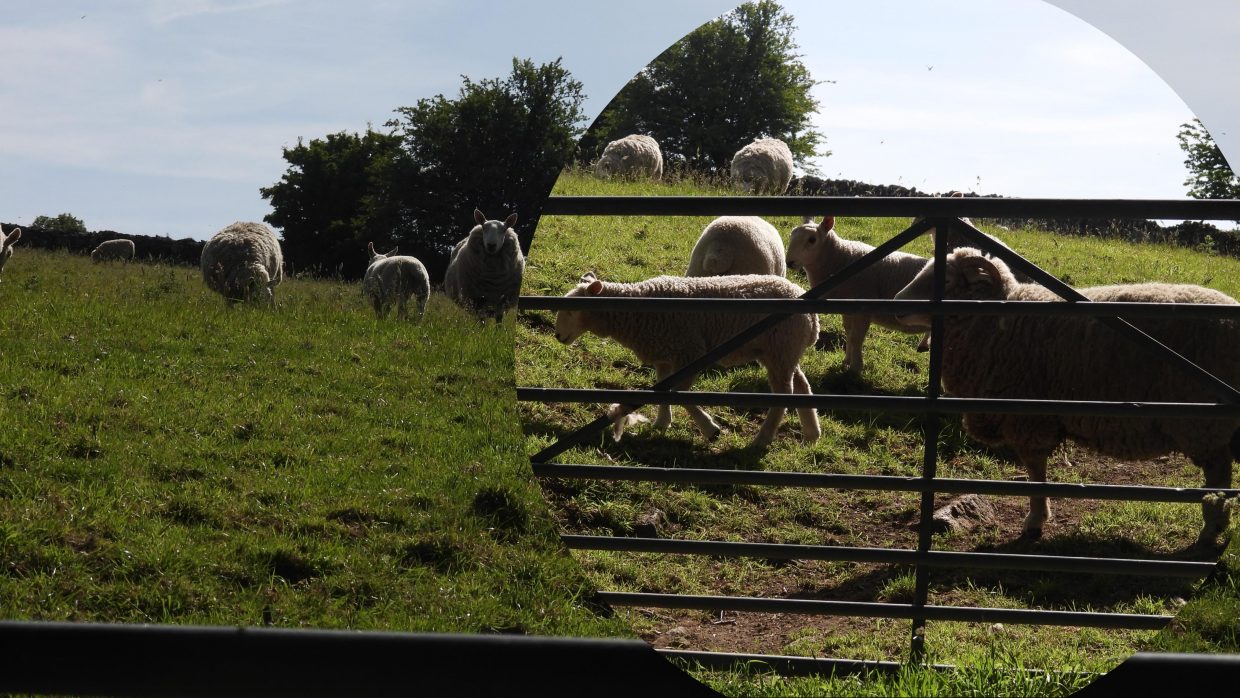 Dartmoor Way – Stage 1 – Ivybridge to Shipley Bridge – Dartmoor ...