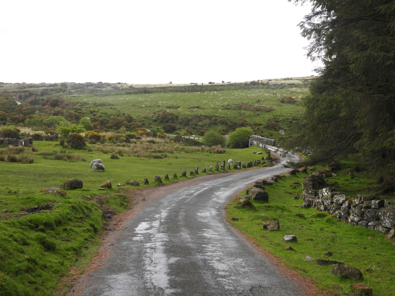 Bellever Bridge and Cyclopean Bridge – Dartmoor Explorations