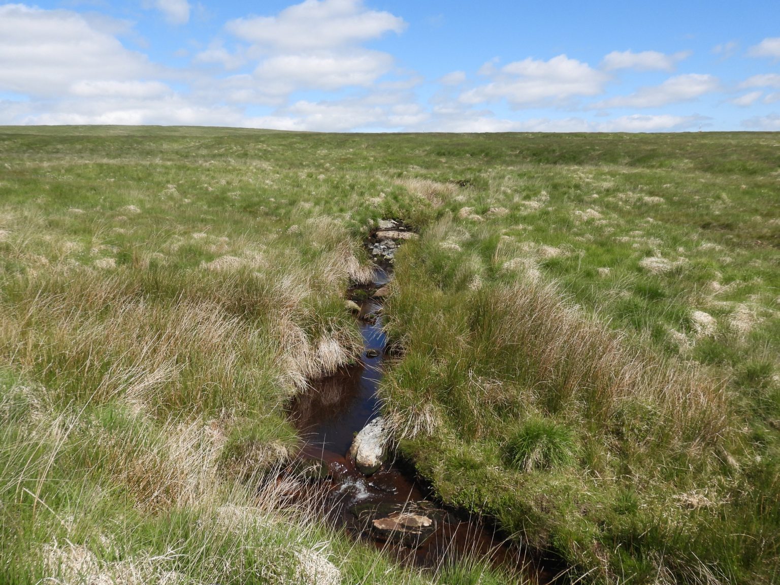 Cut Hill – Dartmoor Explorations