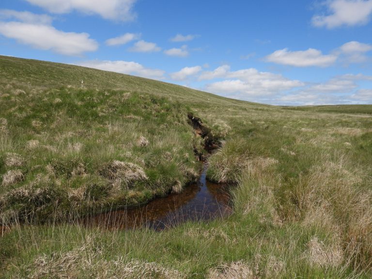 Cut Hill – Dartmoor Explorations