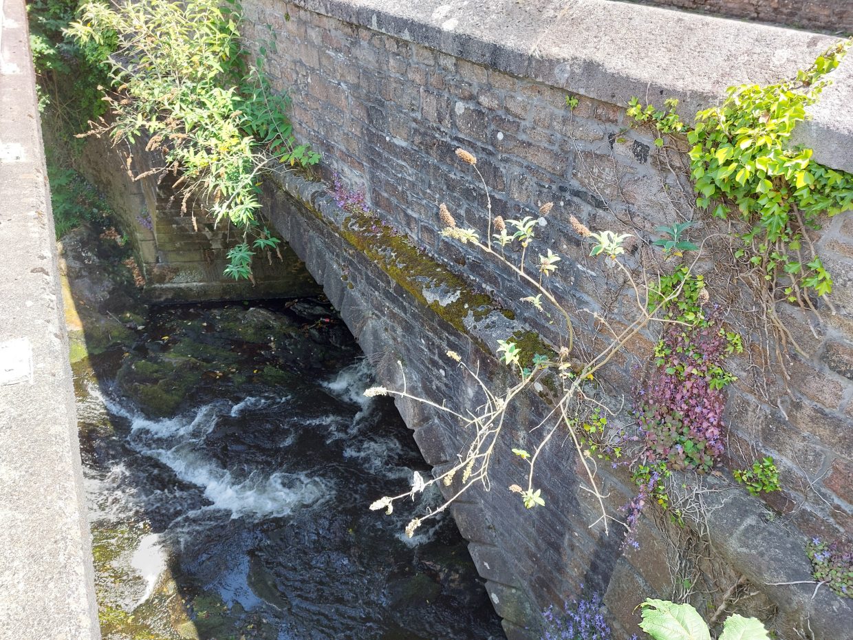 The “Ivy Bridge” and “1825” Turnpike improvement Bridge and environs in ...
