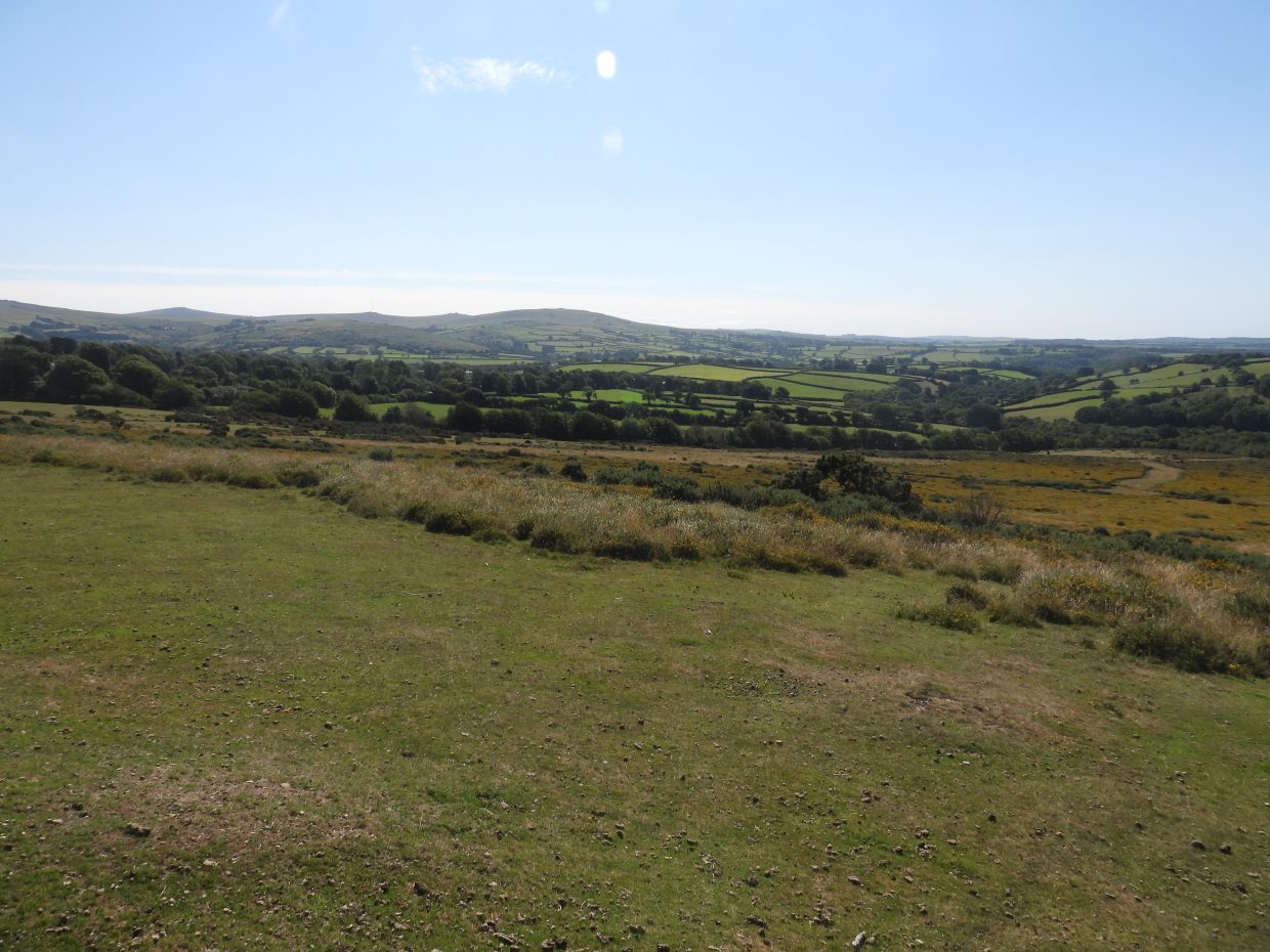 Brentor / Mary Tavy Parish Boundary (with Buller / Edgecombe Standing ...