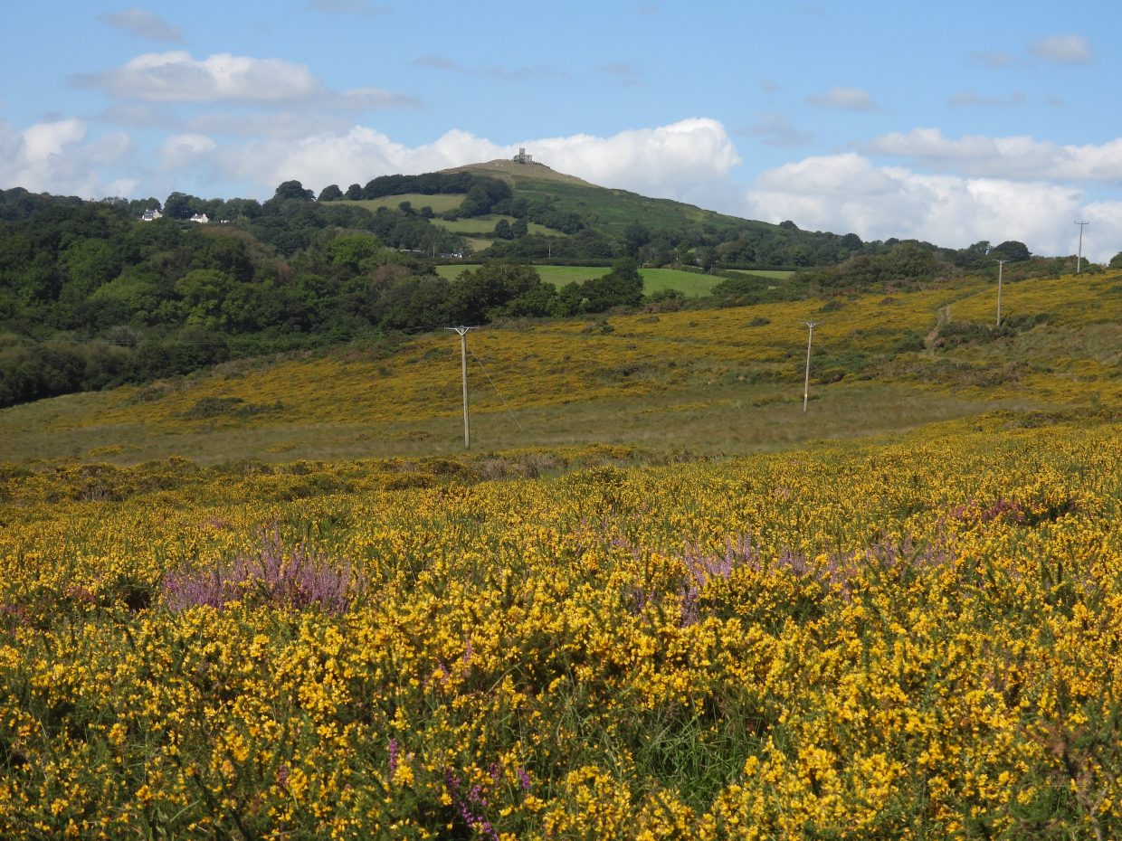 Brentor / Mary Tavy Parish Boundary (with Buller / Edgecombe Standing ...
